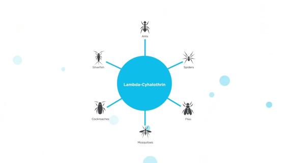 Demand CS Insecticide | Microencapsulated Control | Syngenta PPM Australia